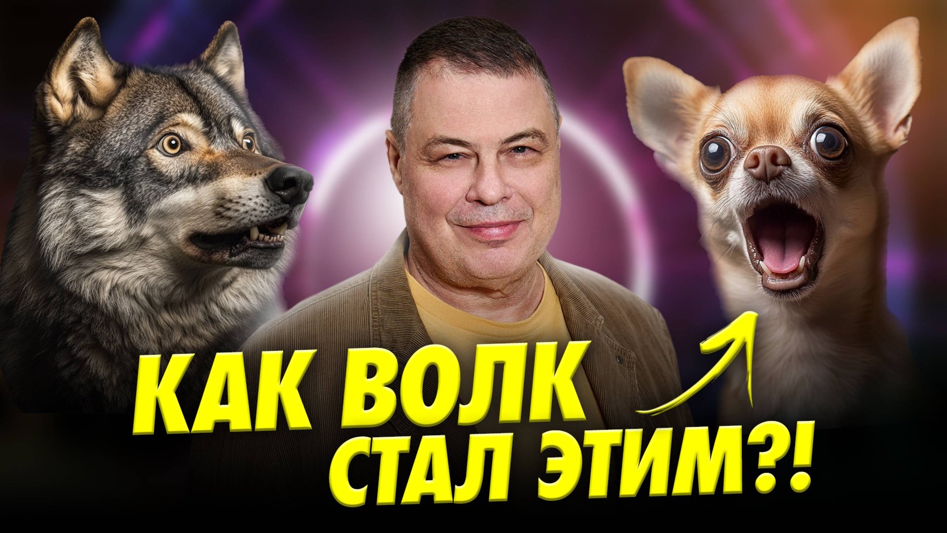 Одомашнивание: как волк стал пекинесом? | Иван Затевахин | Ученые против мифов 23-12