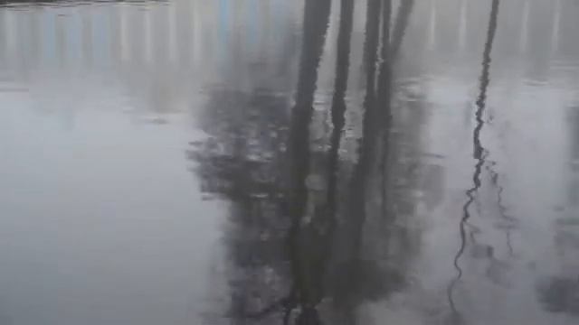 СУЩЕСТВУЮТ ЛИ ПАРАНОРМАЛЬНЫЕ ЯВЛЕНИЯ. НАУЧНЫЕ ОПРОВЕРЖЕНИЯ.