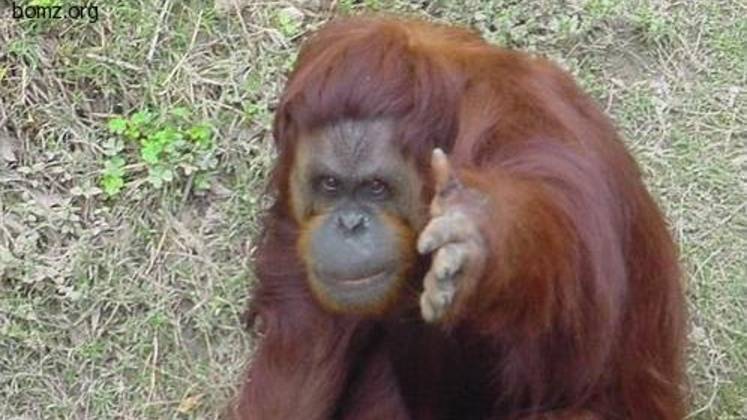 Ну, здравствуй, брат!