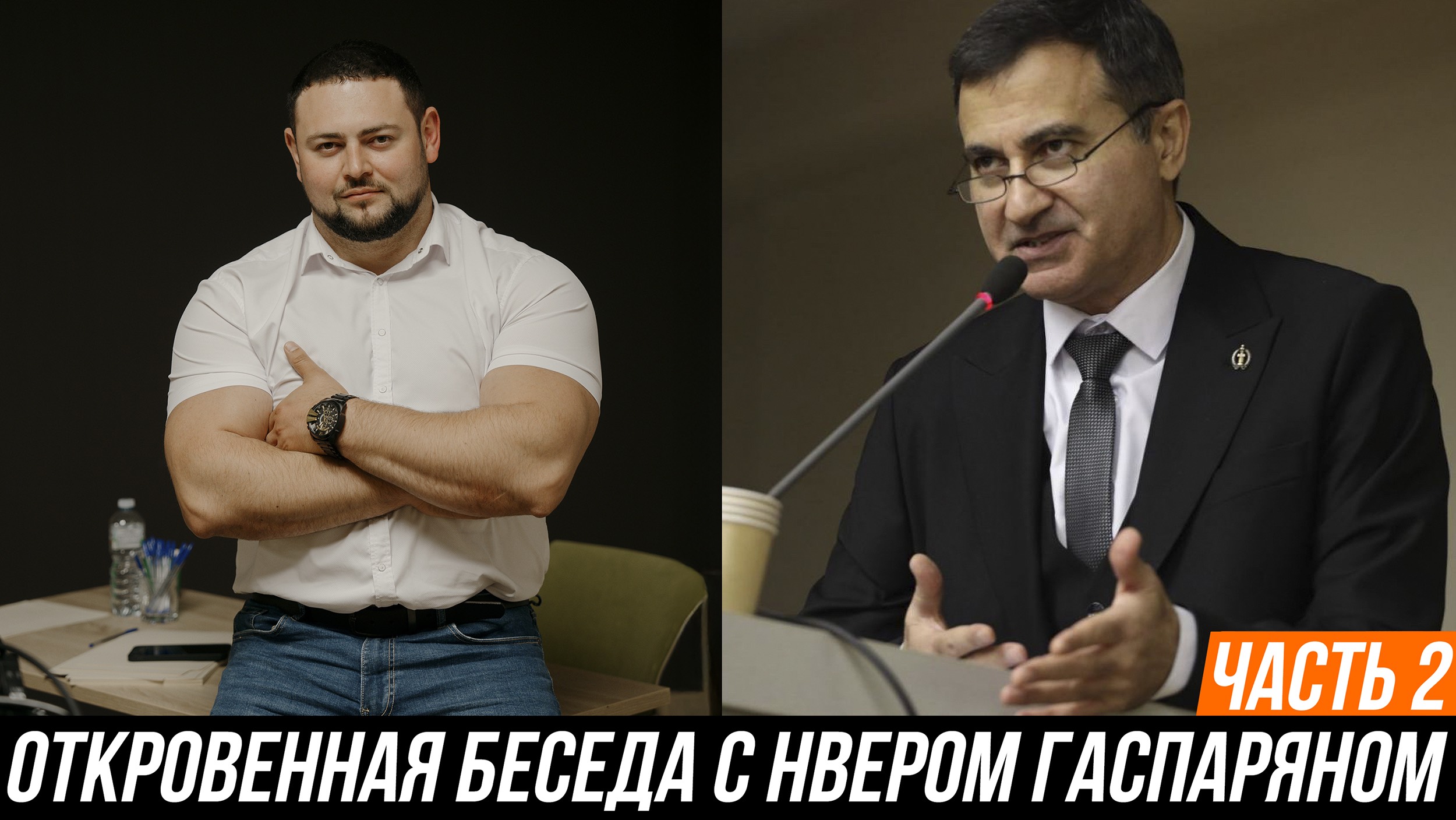 ОТКРОВЕННАЯ БЕСЕДА АДВОКАТОВ МАНУКОВА МИХАИЛА и НВЕРА ГАСПАРЯНА