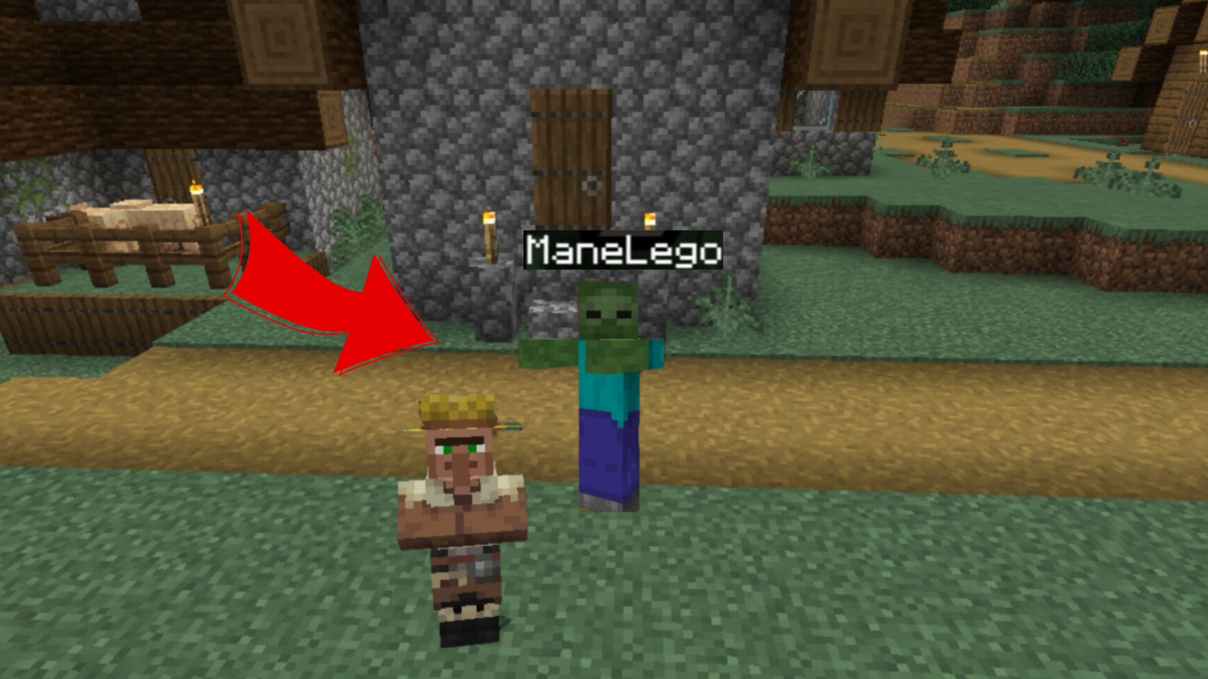 Я затролил жителя превращая в мобов в Майнкрафте | ManeLego minecraft