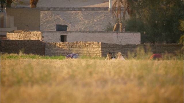 BBC: Сокровища Древнего Египта 2 серия «Золотой век» (документальный сериал, 2014)