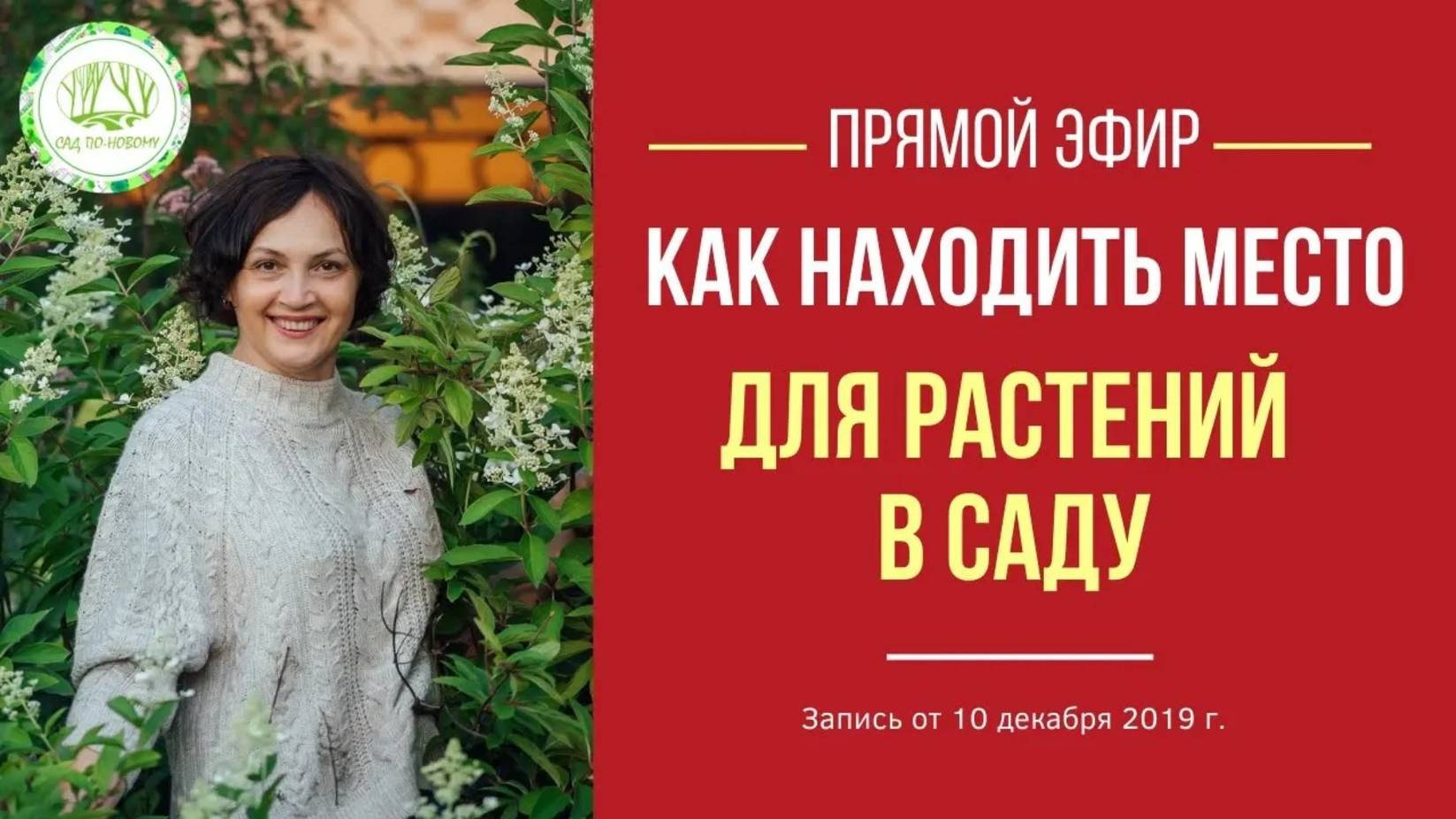 Как найти место для растений в саду