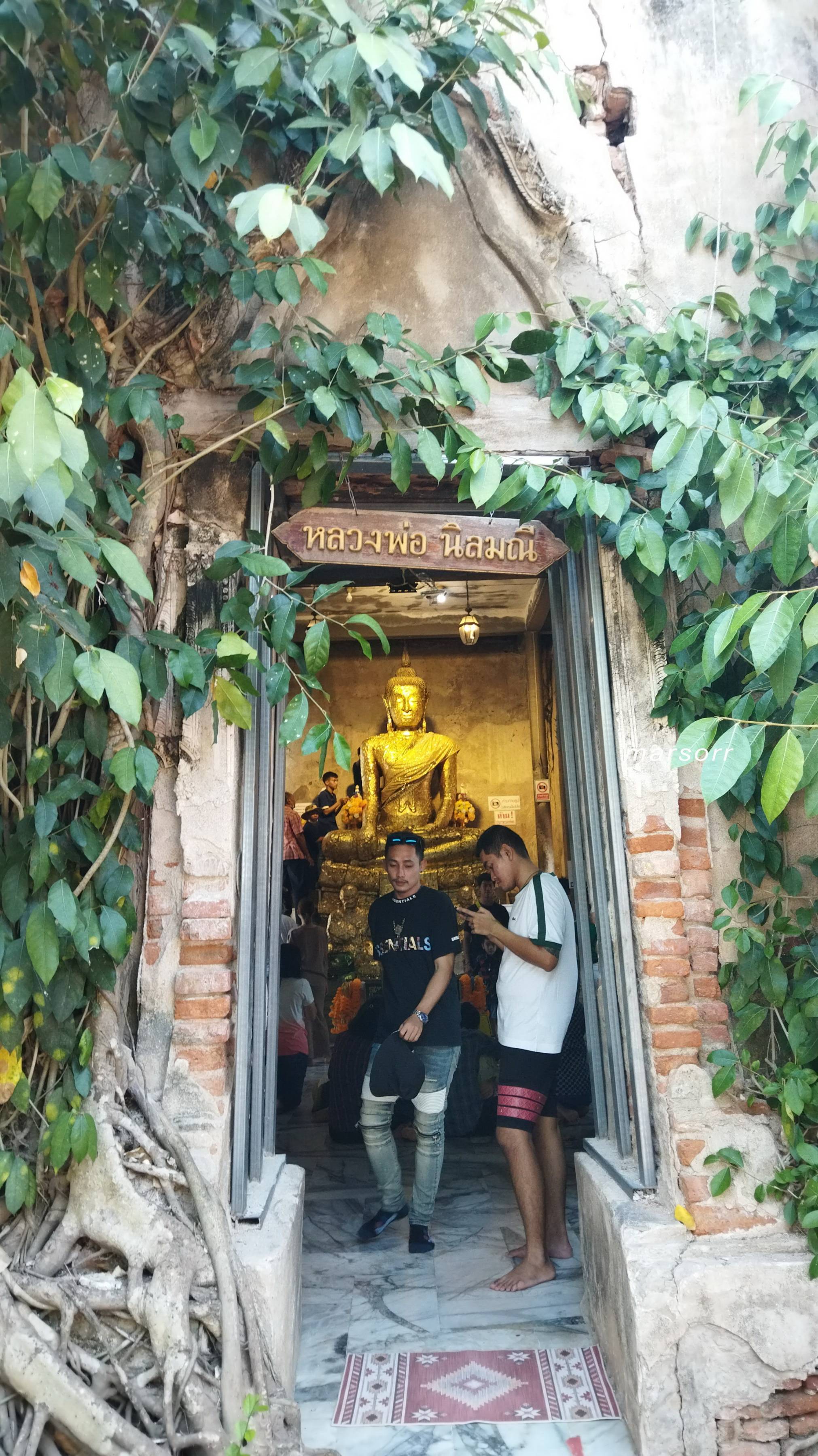 просто храм в дереве wat bang kung วัดบางกุ้ง самут сонгкрам สมุทรสงคราม samut songkhram