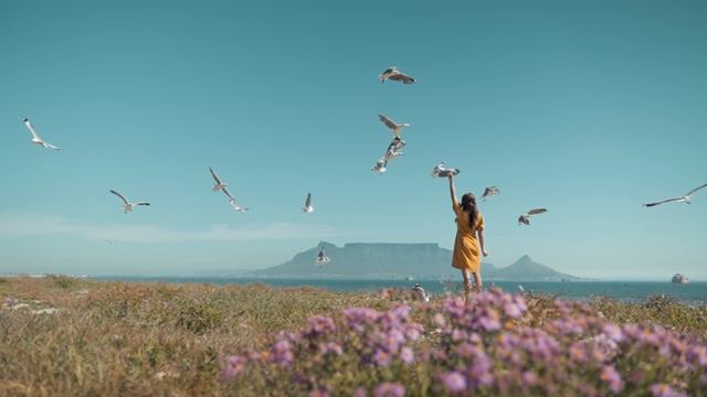 5614884-uhd_3840_2160_25fps