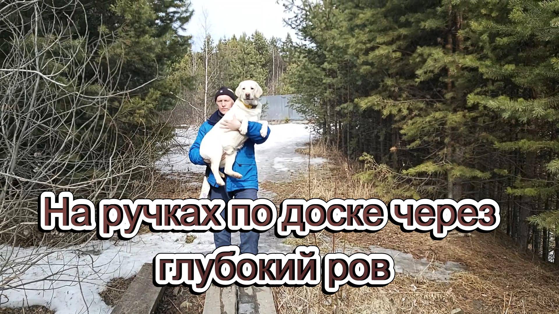 На ручках по доске через глубокий ров