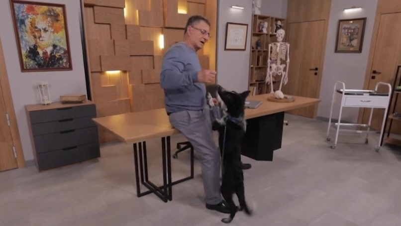 Стоит ли прощать обиды: мнение доктора Мясникова. Видеорубрика "Для души и тела"