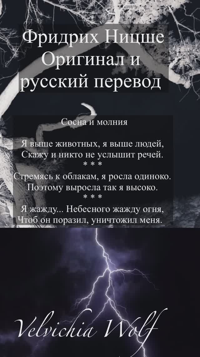 Я жажду.. ..Фридрих Ницше #стихи #поэзия #shorts