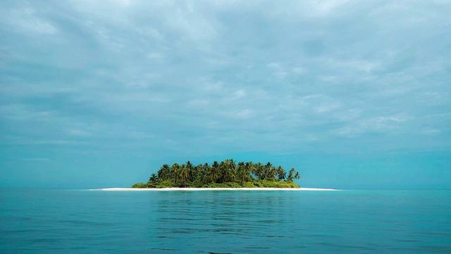 Матрица Гаряева успокаивающая нервную систему музыка