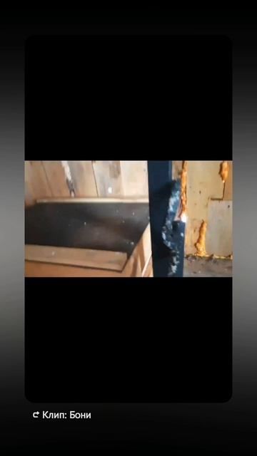 Гибель пчёл!