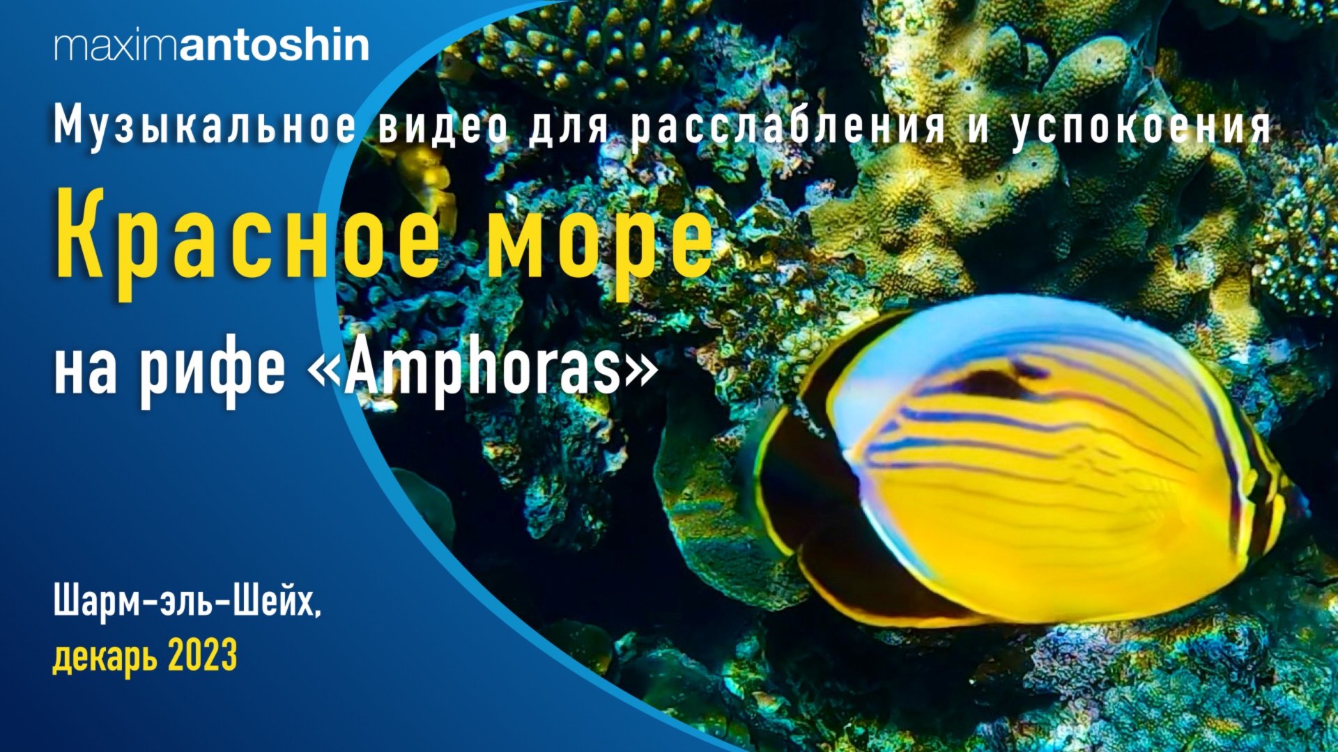 Музыкальное видео для расслабления и успокоения. Сайт "Амфорас". Шарм-эль-Шейх, декабрь 2023