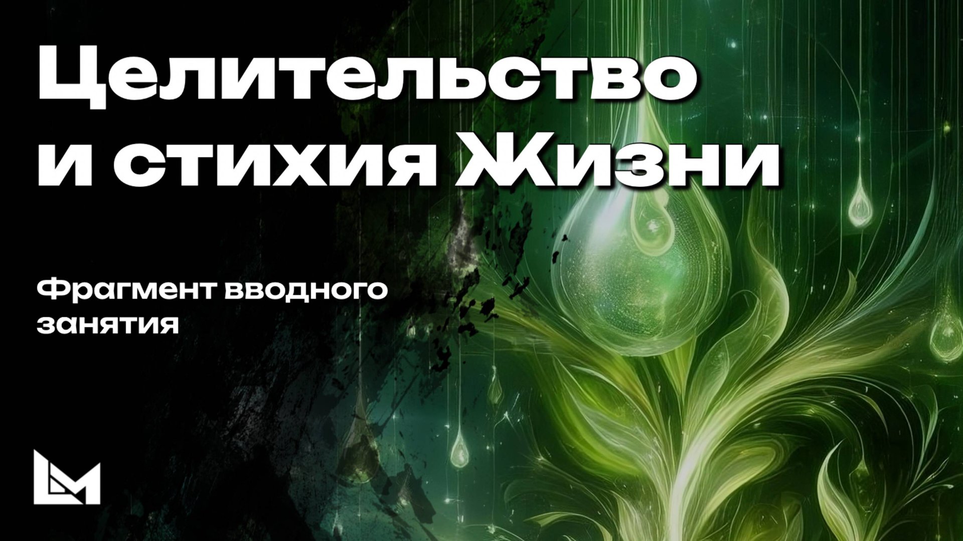 Фрагмент вводного занятия "Целительство и стихия Жизни" - Познание | Логос