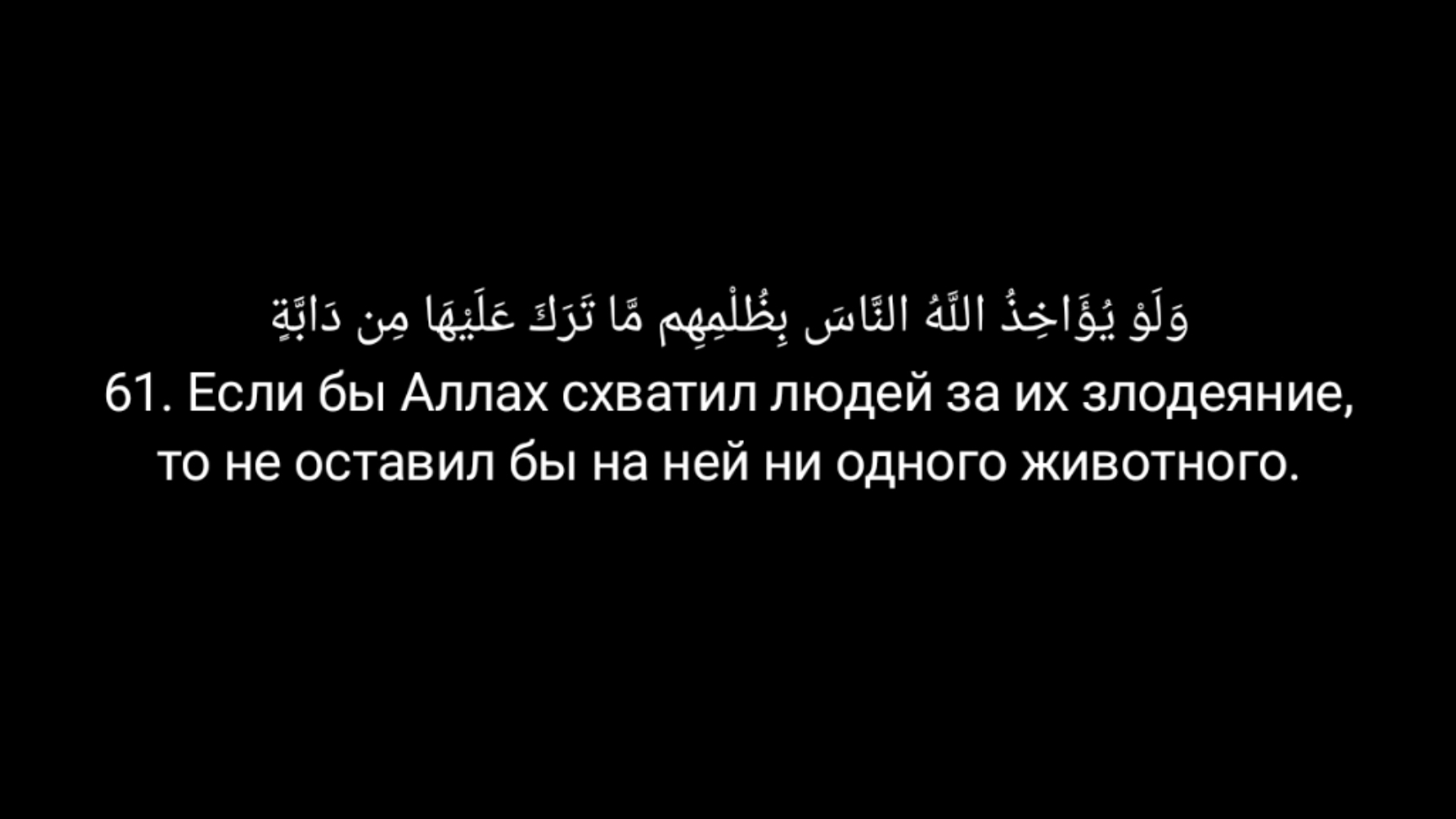 Сура Ан-Нахль (Пчелы) 45-67 аяты. Мухаммад аль люхайдан 1424г рамадан.