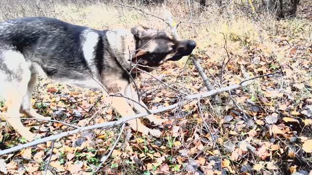 Доводим начатое дело до конца