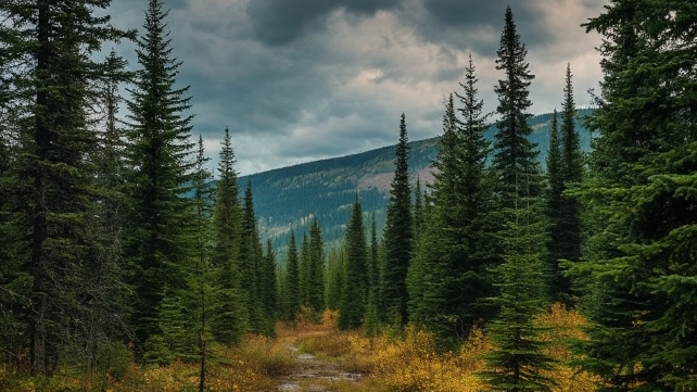 Таёжный рассказ. Вот такой случай со мной в тайге произошел.