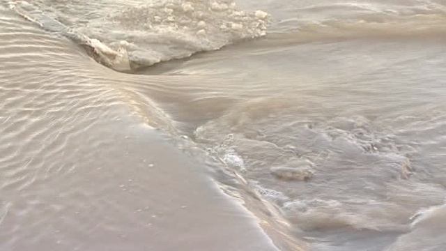 Спецрепортаж телеканала "РЕН-ТВ Астрахань".  Среда обитания человека, 17.12.2013