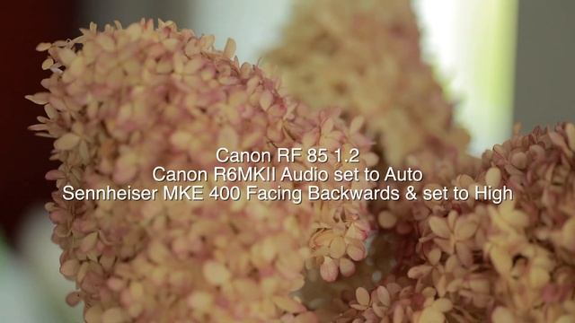 Canon RF 85 F1.2L тест звука работы автофокуса