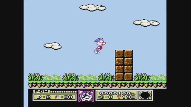 Tiny Toon Adventures (NES)