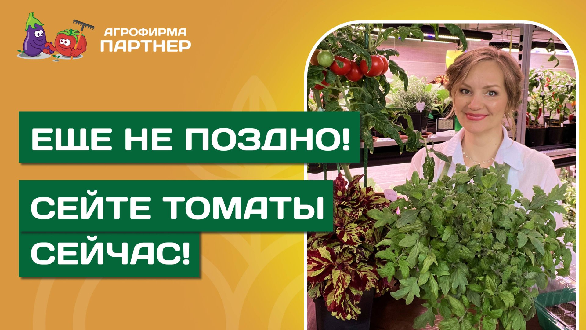 ВЫ НЕ ОПОЗДАЛИ С ПОСЕВОМ ТОМАТОВ! // Рассказываем, что делать!