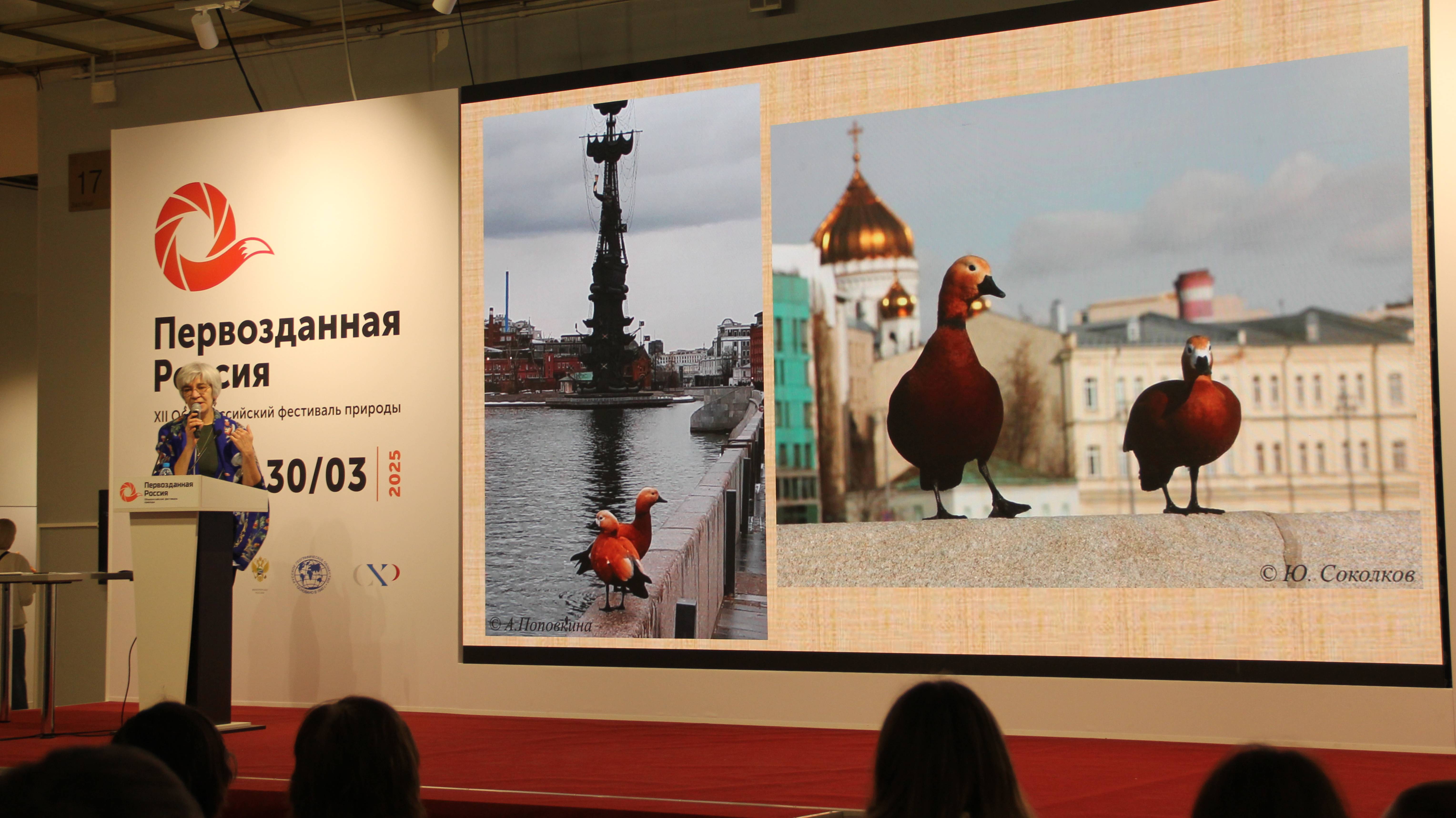 23.03.2025 г. Анастасия Поповкина, Чужие в городе, часть-1