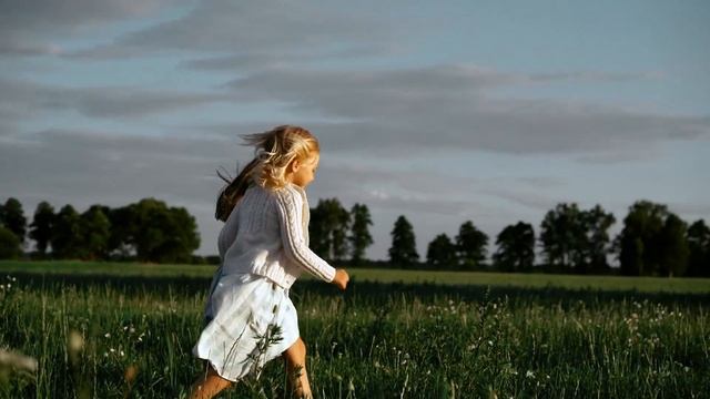 4982413-hd_1920_1080_25fps