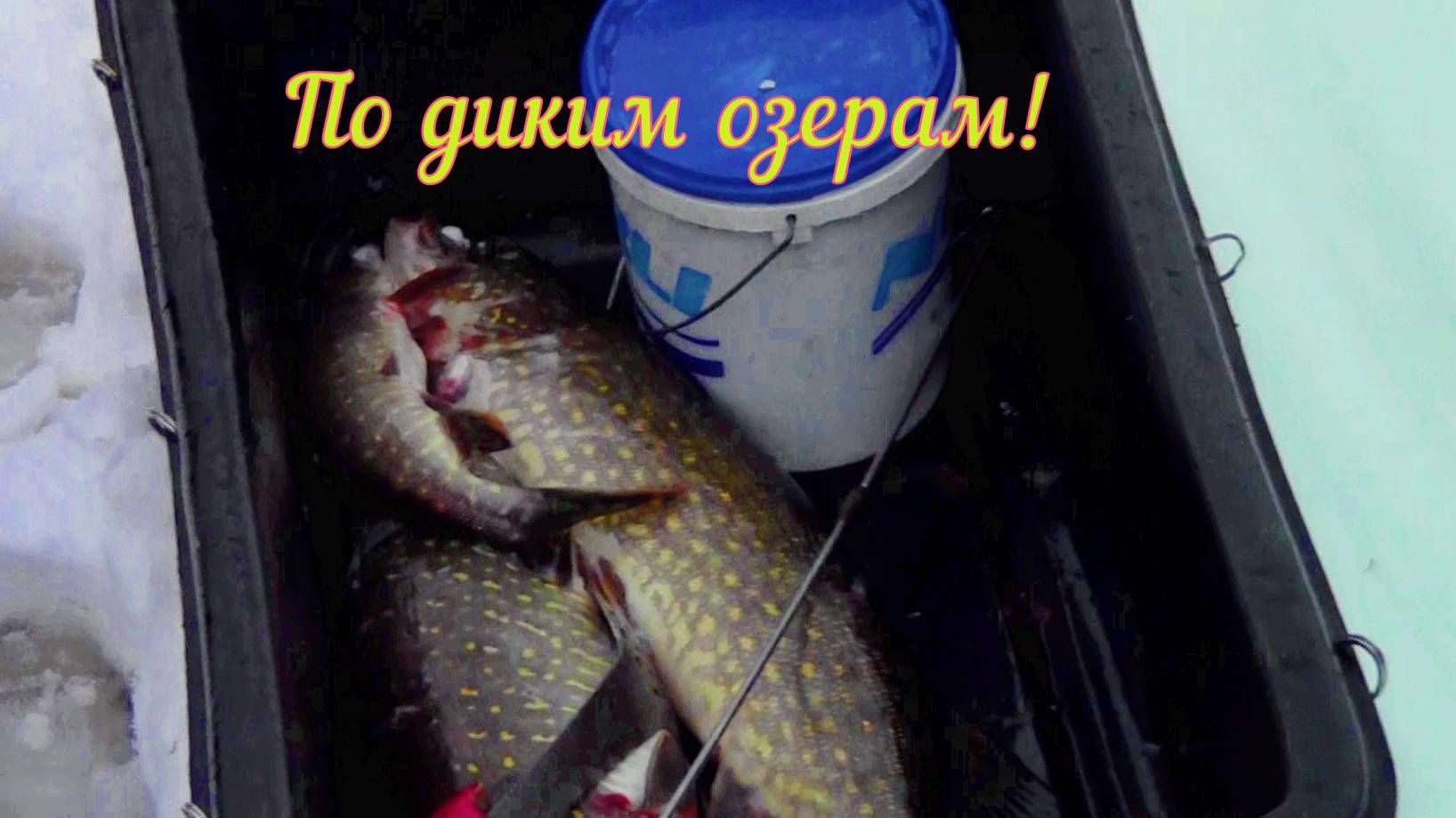 ЗА МАРТОВСКОЙ ЩУКОЙ!