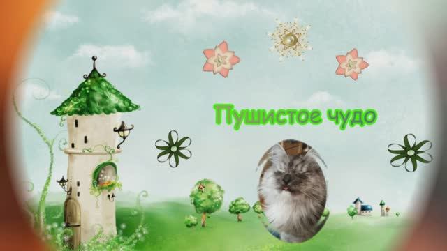 Пушистое чудо. 4 года дома..