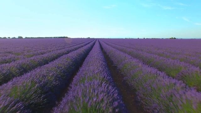 1705117-hd_1920_1080_25fps