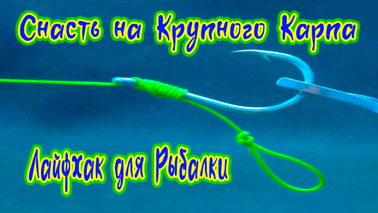 Лайфхак для Рыбалки Как вязать правильно крючок с волосом на крупного карпа для донной снасти