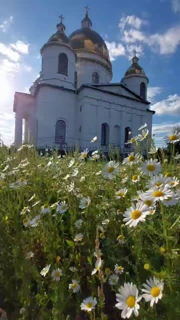 Вот такая красота и вся в ромашках 🌼