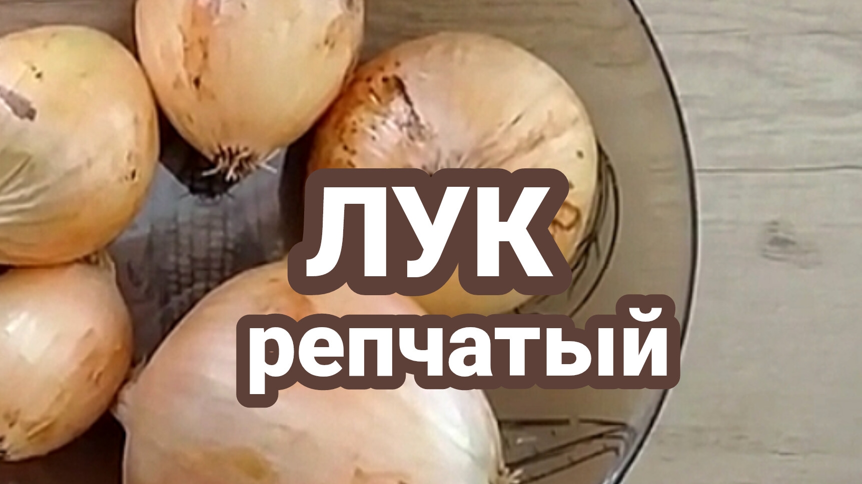 Луковый суп. Необычно.Своеобразно.