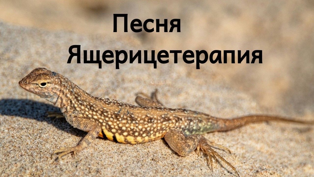 Ящерицетерапия 3.0 (Suno Ai)