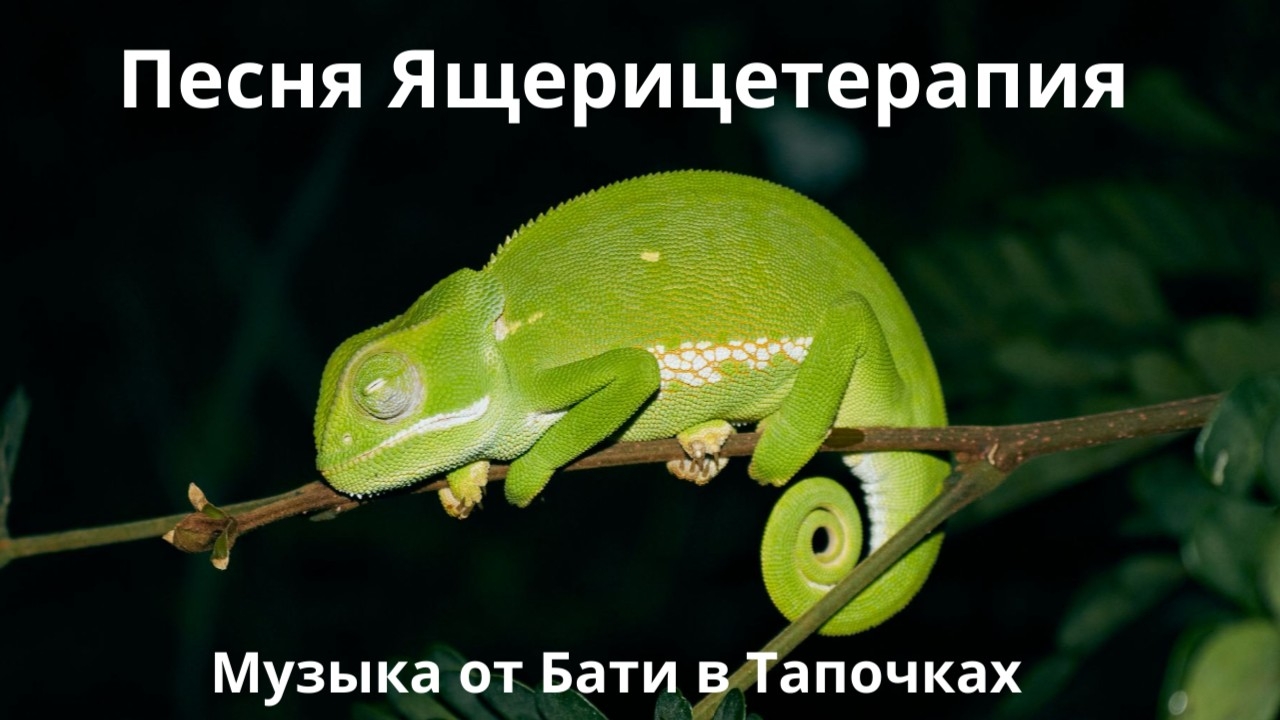 Ящерицетерапия (Suno Ai)