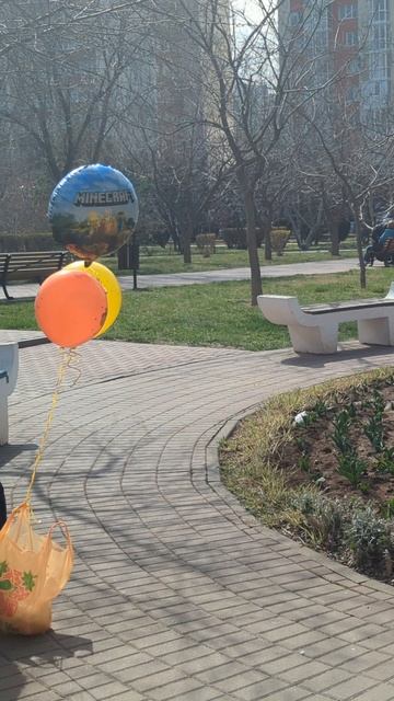 В Евпатории зацвели тюльпаны!!! #евпатория2025 #крым #весна2025 #shorts