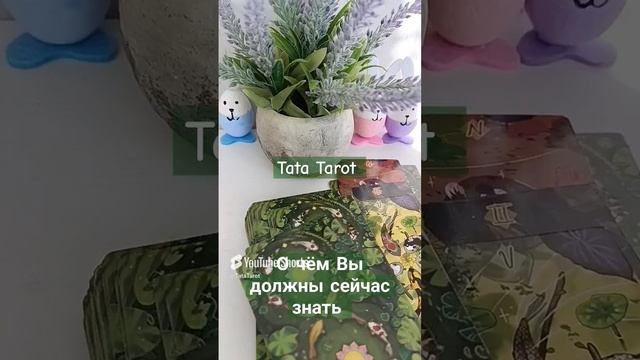 О чем Вы должны сейчас знать 🍀 #эзотерика #талисмантаро #таро #таролог #обряды #tarot #таросила