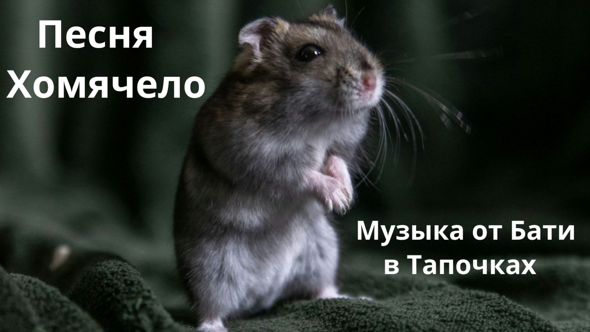 Хомячело 2.0(бобёр 4 серия) (Suno Ai)