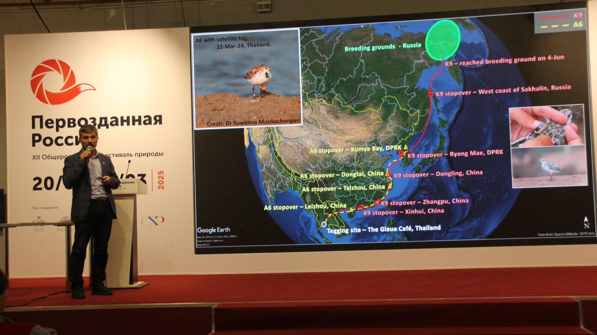 23.03.2025, Елена Лаппо, Антон Иванов, Лопатень - жизнь на грани исчезновения, Часть-2