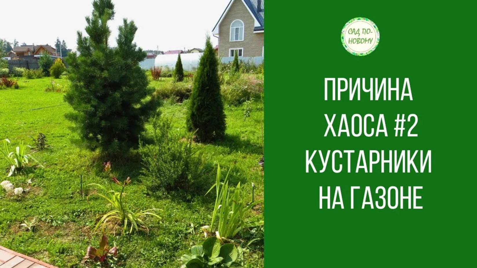 ❌Почему нельзя сажать кустарники на газоне_