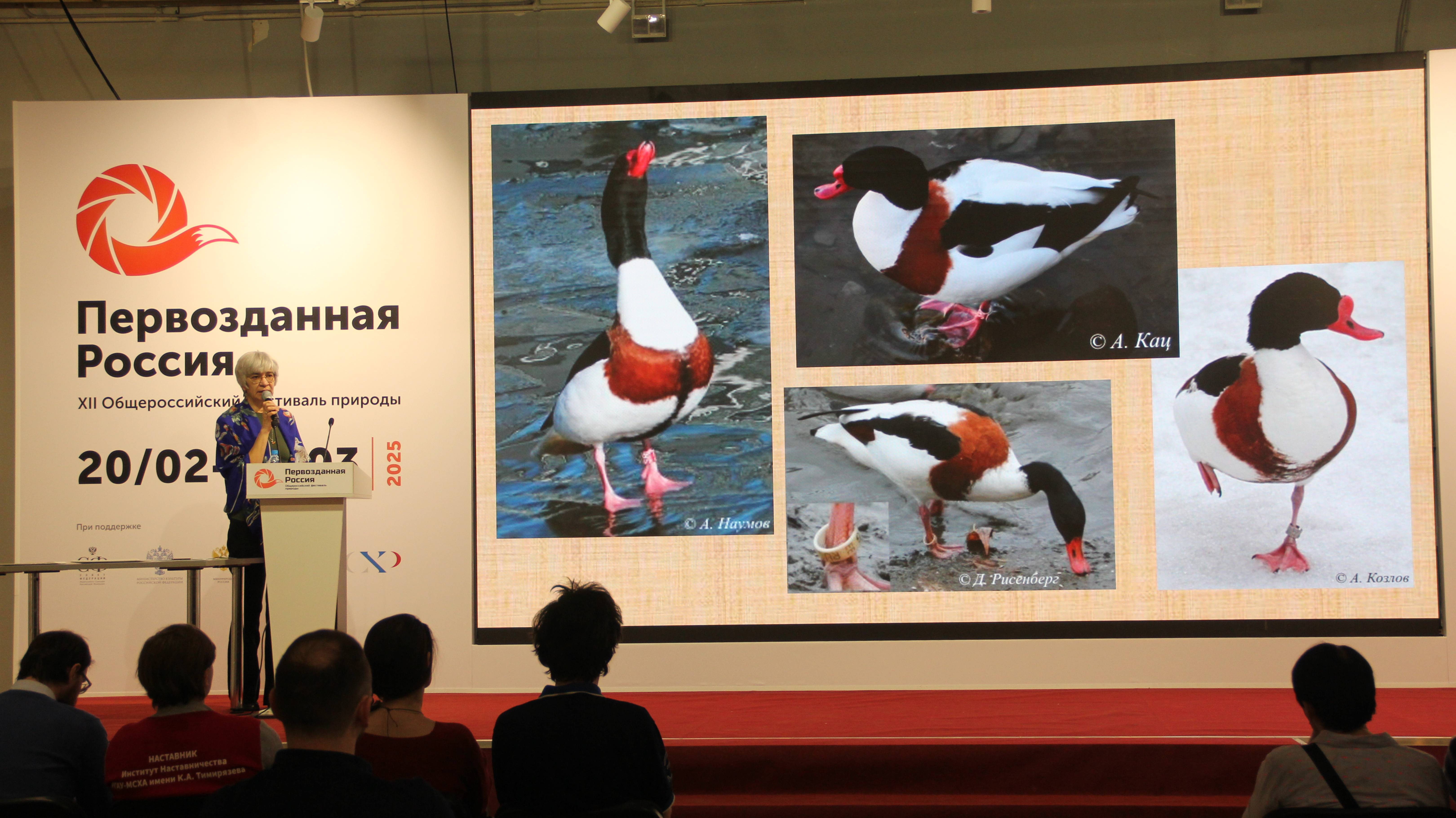 23.03.2025 г. Анастасия Поповкина, Чужие в городе, часть-3