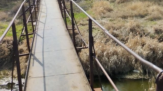 Прогулка конец марта 2025