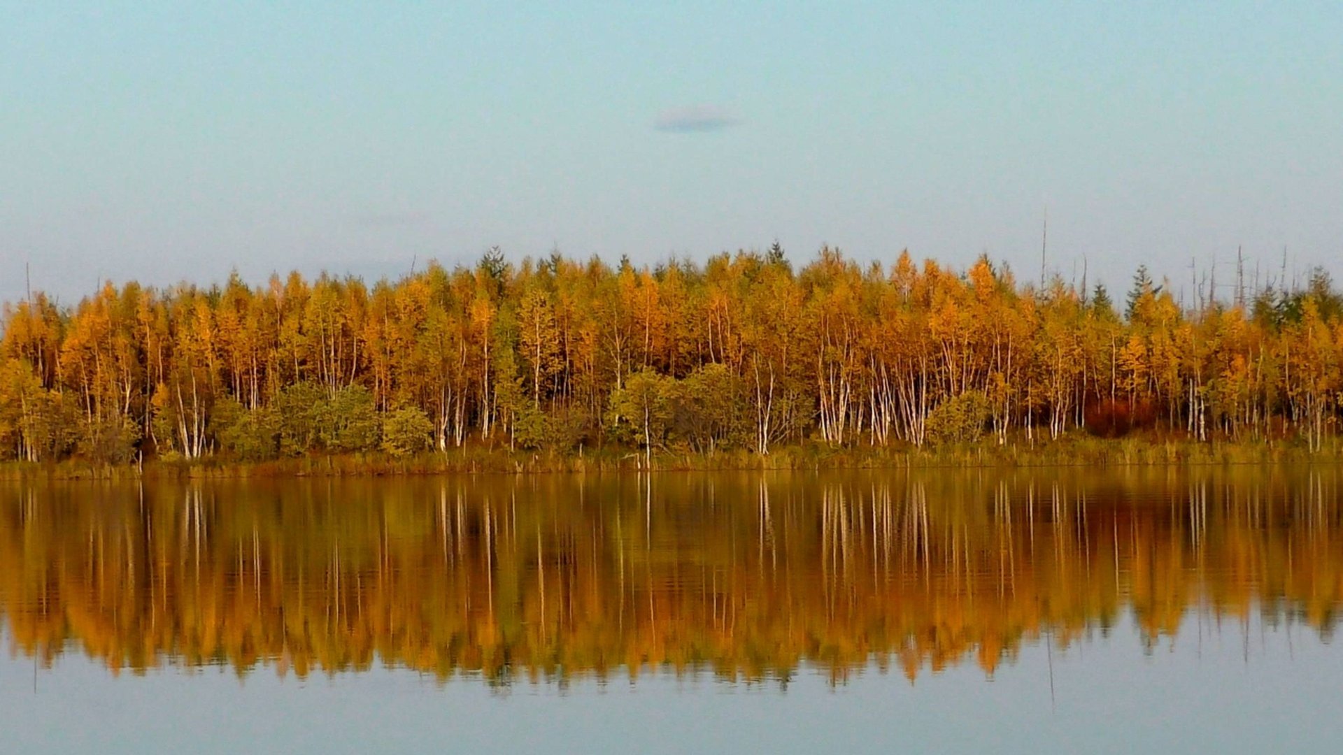 Между двух озёр - Чля и Карасёво. Осенний поход с рыбалкой