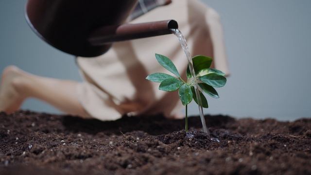 7944614-uhd_4096_2160_25fps