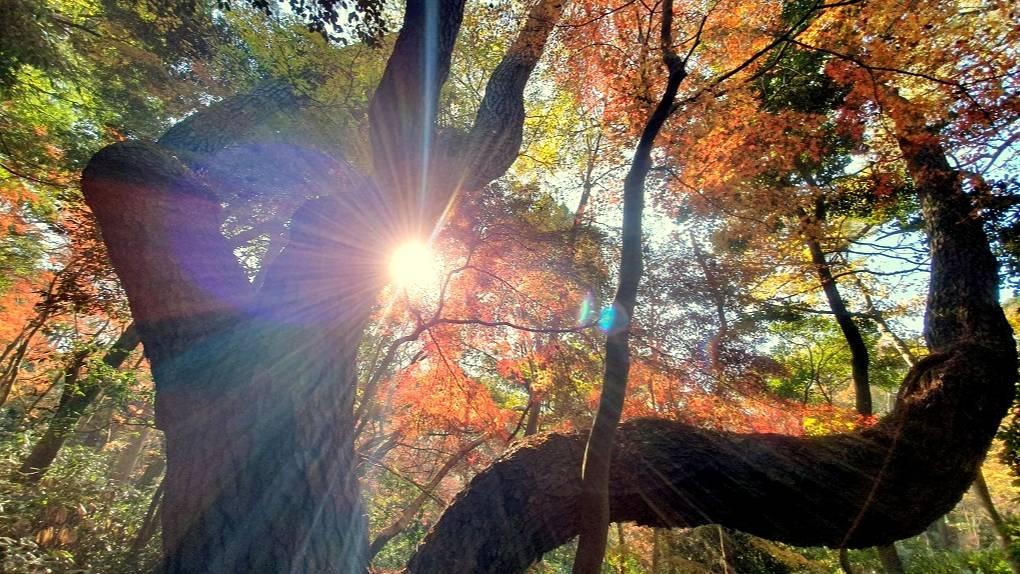 Непредсказуемость развития событий