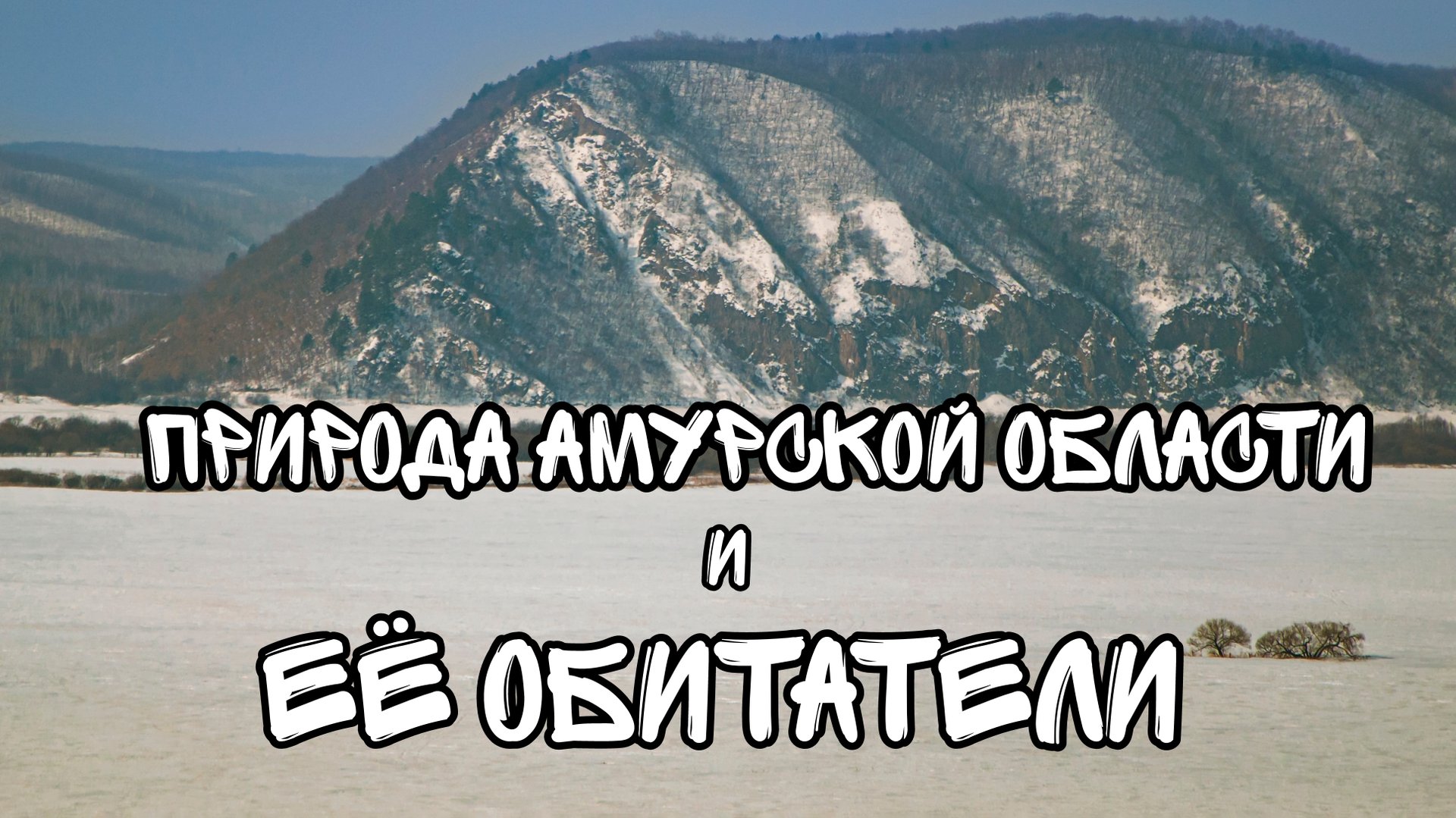 Любительский Фильм: Природа Амурской области и её обитатели #природа #лес #животные