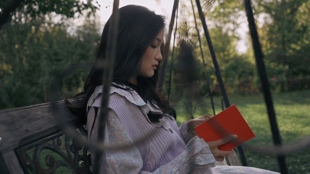 9784332-hd_1920_1080_25fps