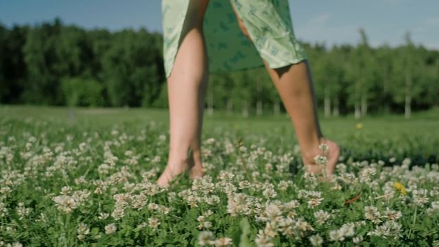 8928563-uhd_3840_2160_25fps