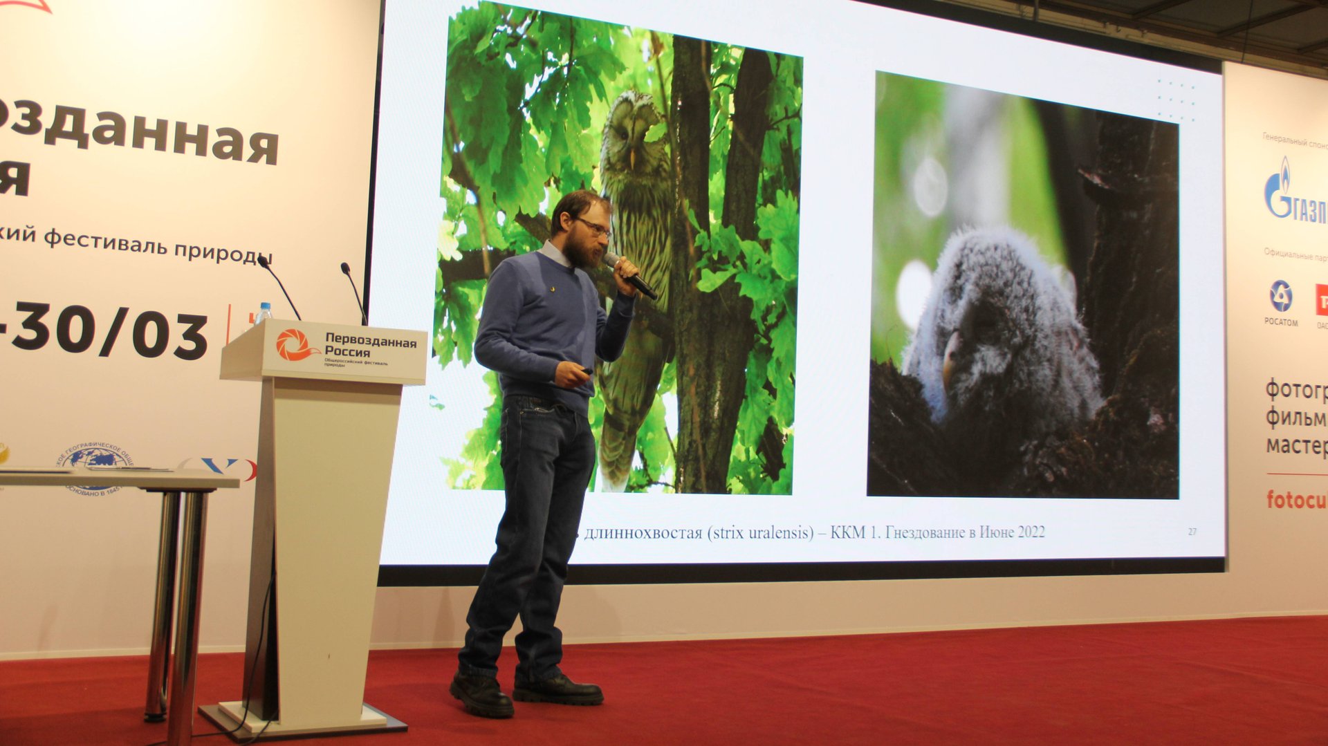 23.03.2025, Даниил Давыдов, Редкие птицы, встреченные в Москве, часть-2