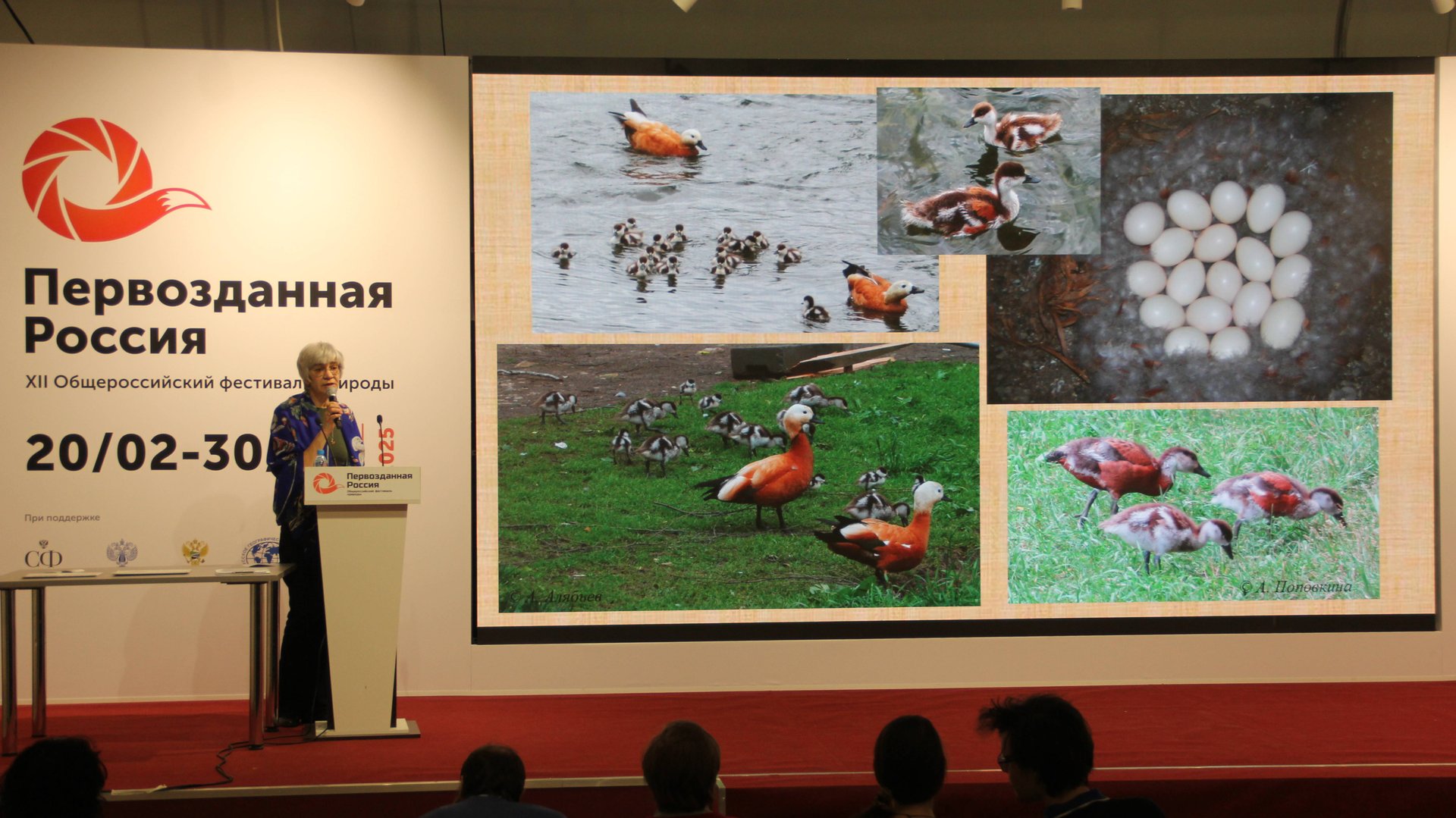 23.03.2025 г. Анастасия Поповкина, Чужие в городе, часть-2