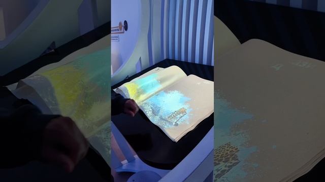 Интерактивный музей ПРИРОДЫ в Кисловодске