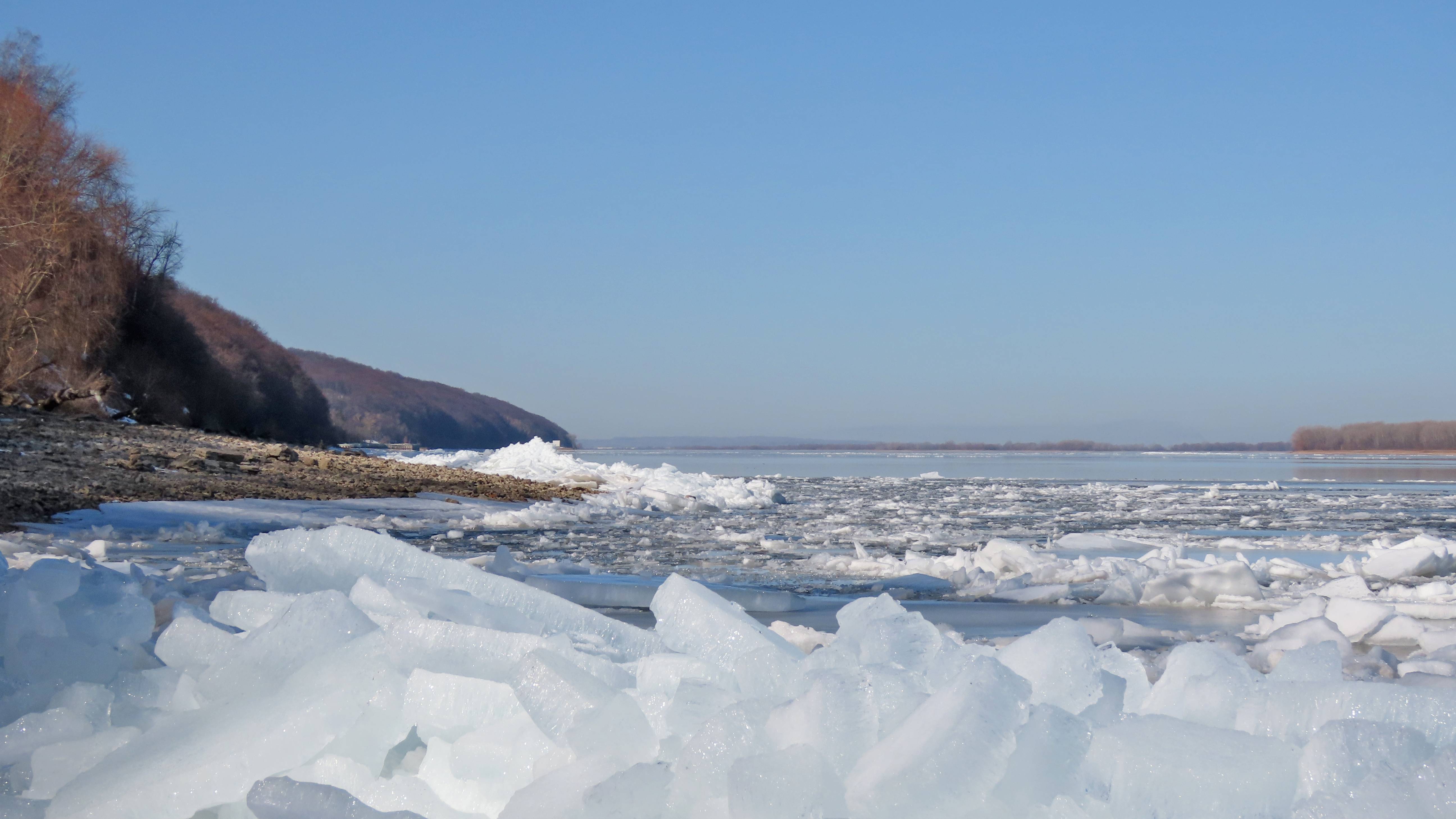 Берег Волги у села Моркваши